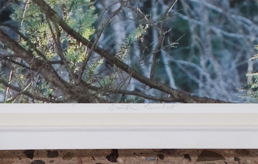 Diane Burko | Winter Hemlock | MutualArt