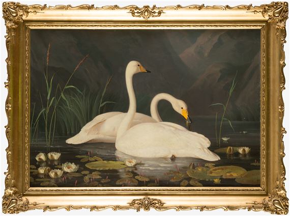 Ferdinand von Wright | Swans (1859) | MutualArt