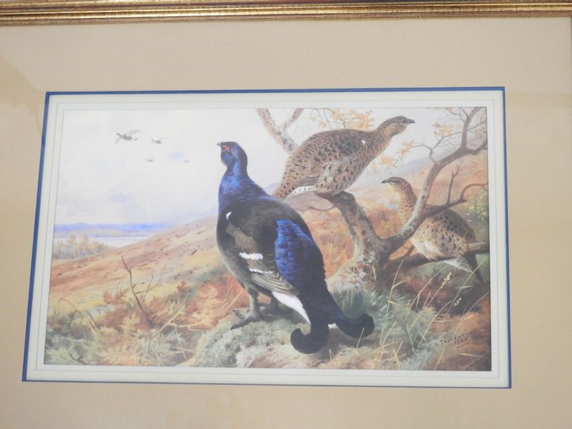 Archibald Thorburn | Six color prints on animal representations ...