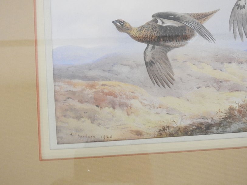 Archibald Thorburn | Six color prints on animal representations ...