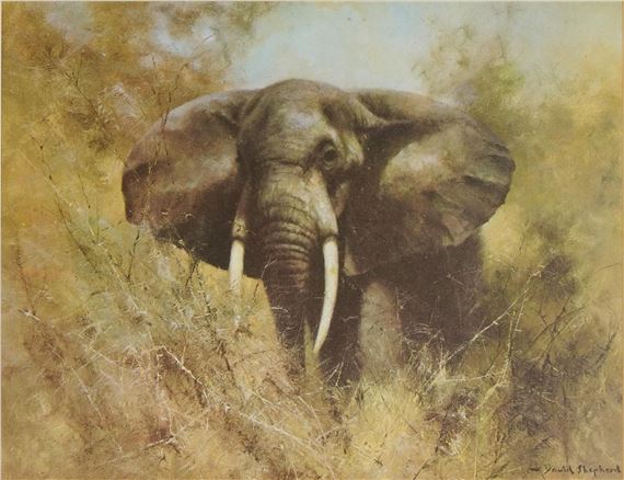 David Shepherd | Wild Elephant | MutualArt