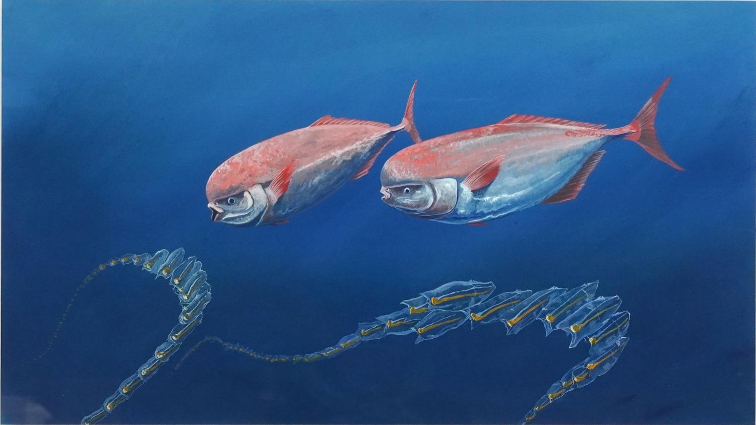 Gordon Howes | Fish and jellyfish | MutualArt