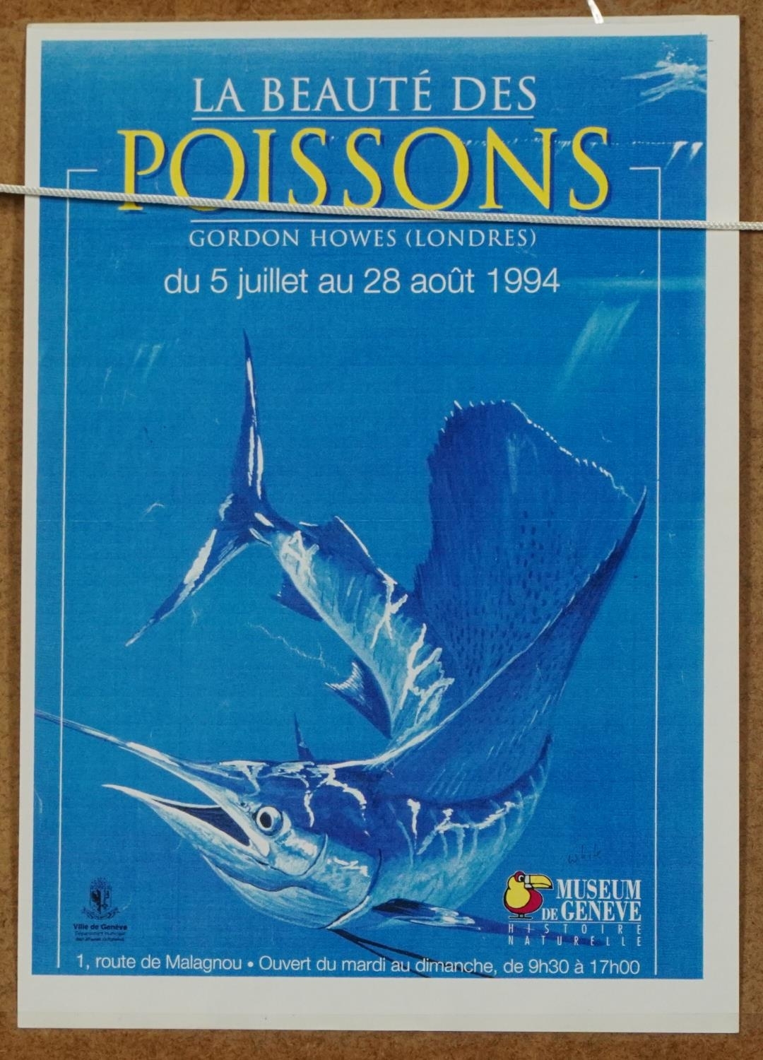 Gordon Howes | Fish and jellyfish | MutualArt