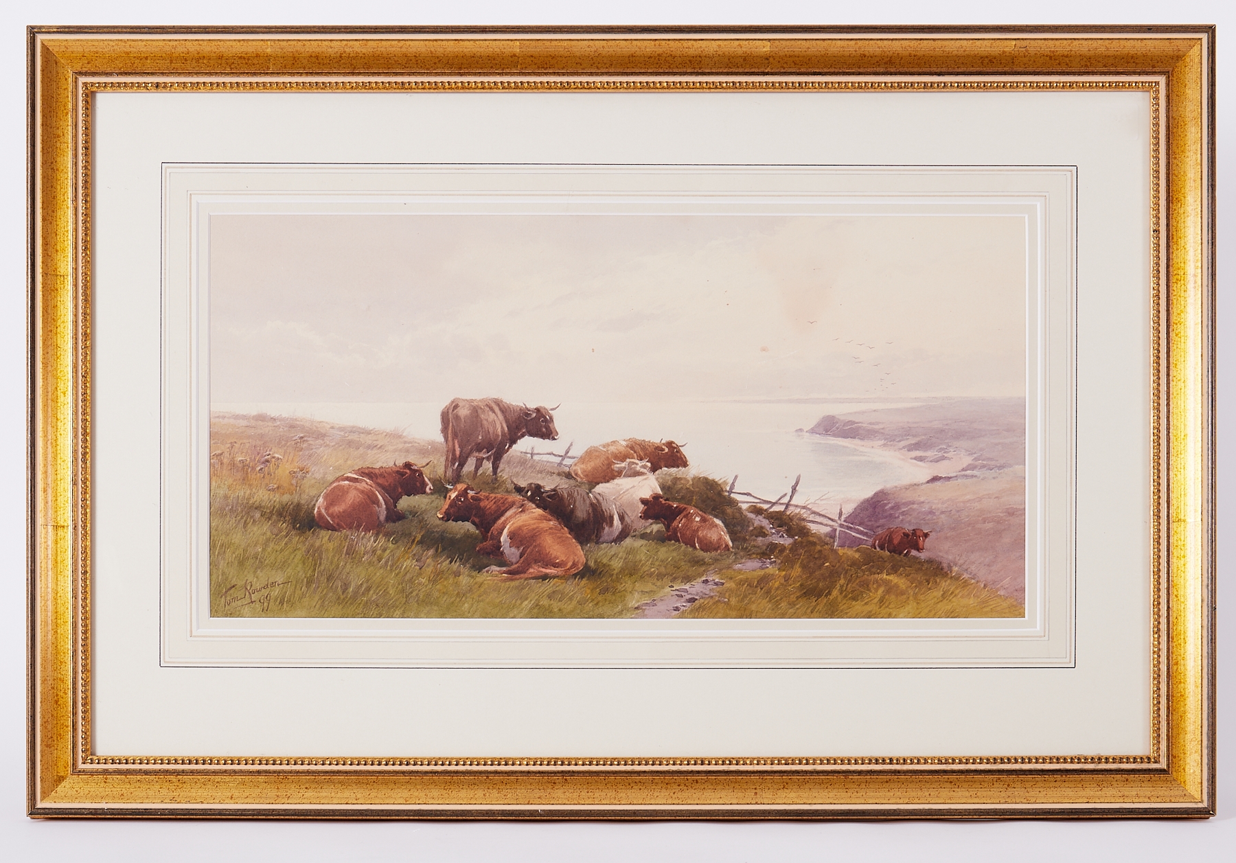 Thomas Rowden | Coast, Falmouth | MutualArt