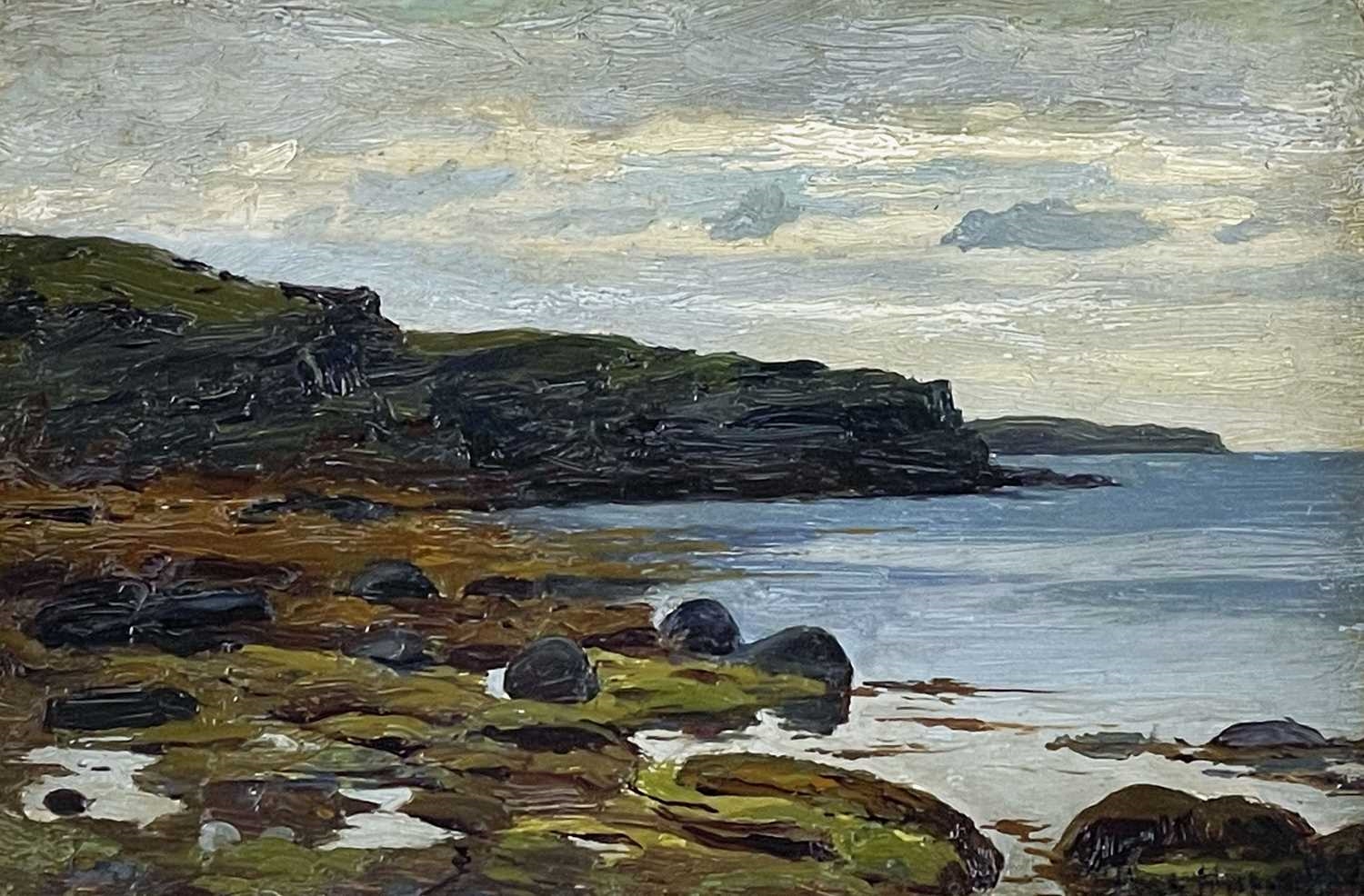 Thomas Huson | Seaweed and Rock (1880) | MutualArt