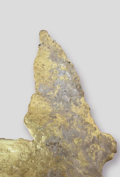 Pierre Manoli | Flight | MutualArt