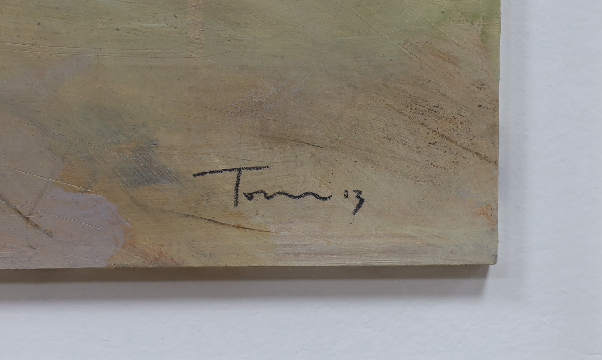 Tom Homewood | Open landscapes | MutualArt