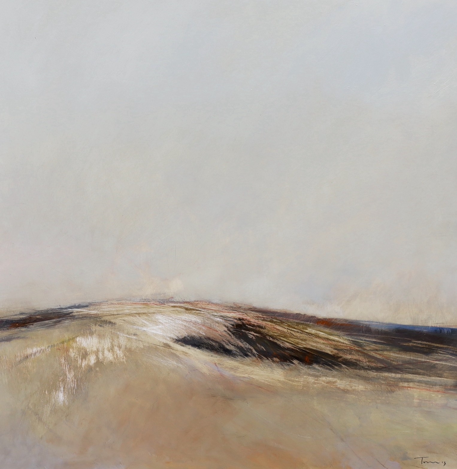 Tom Homewood | Open landscapes | MutualArt