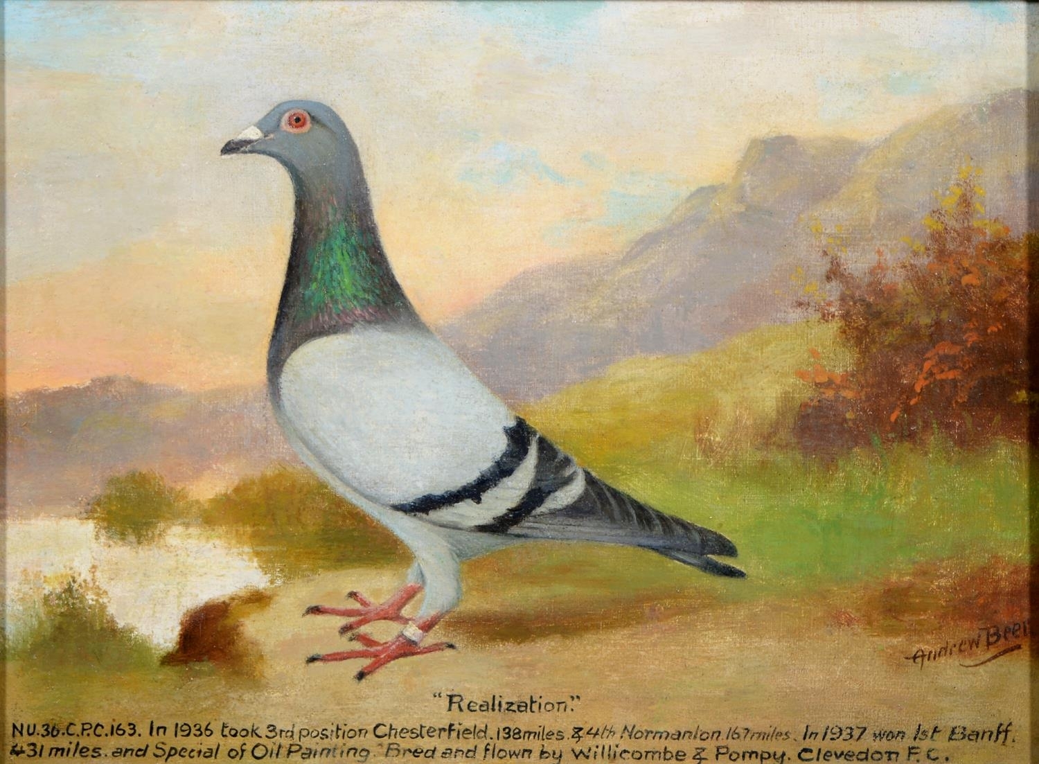 Andrew Beer | - Portrait of the Racing Pigeon, Realization | MutualArt