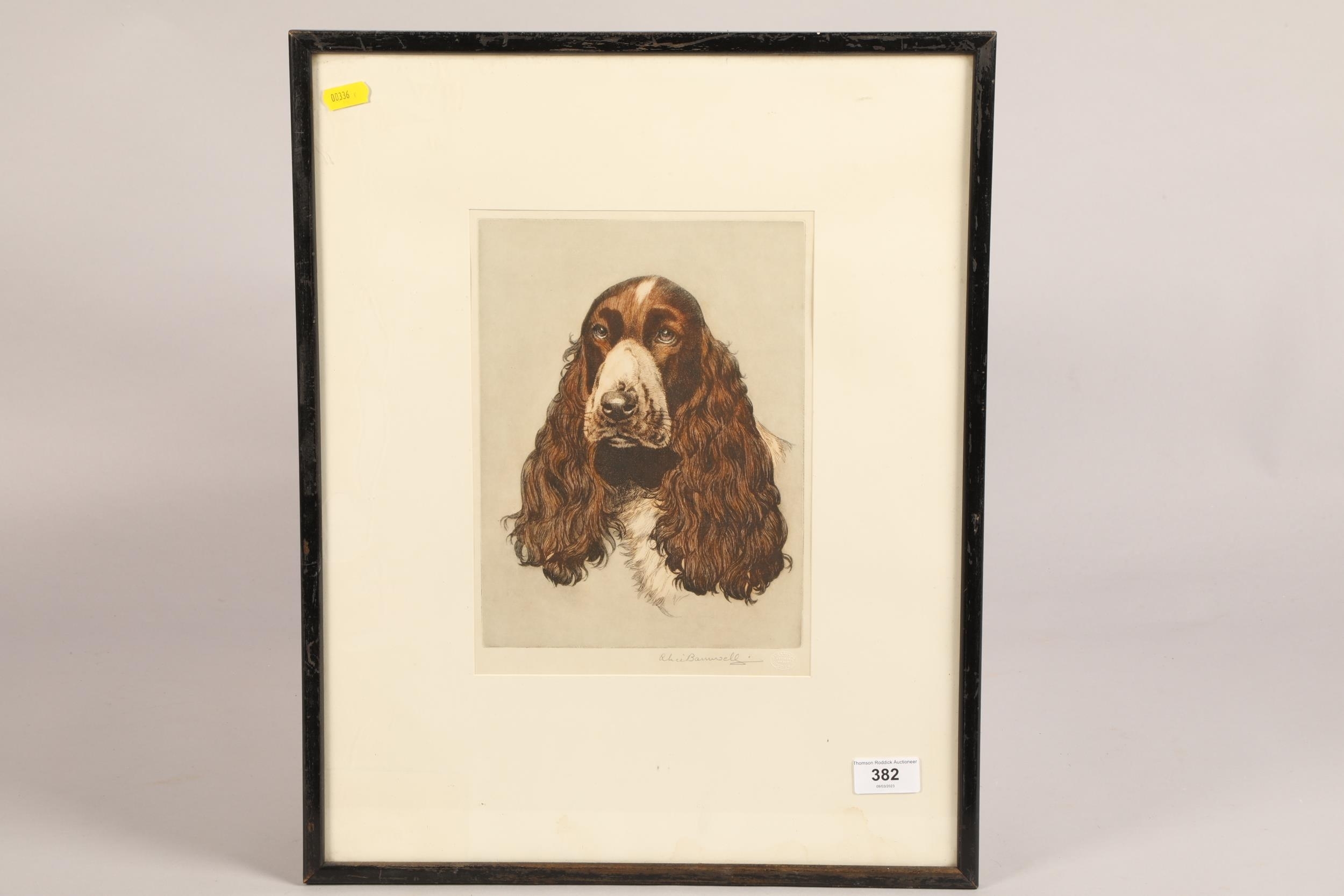 Alice Barnwell | Spaniels Head | MutualArt
