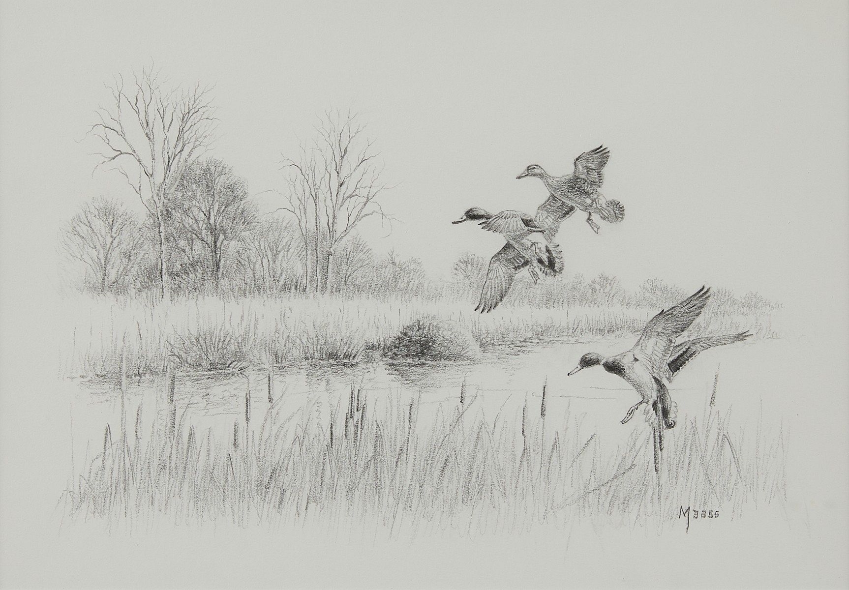 Ducks Flying Drawing