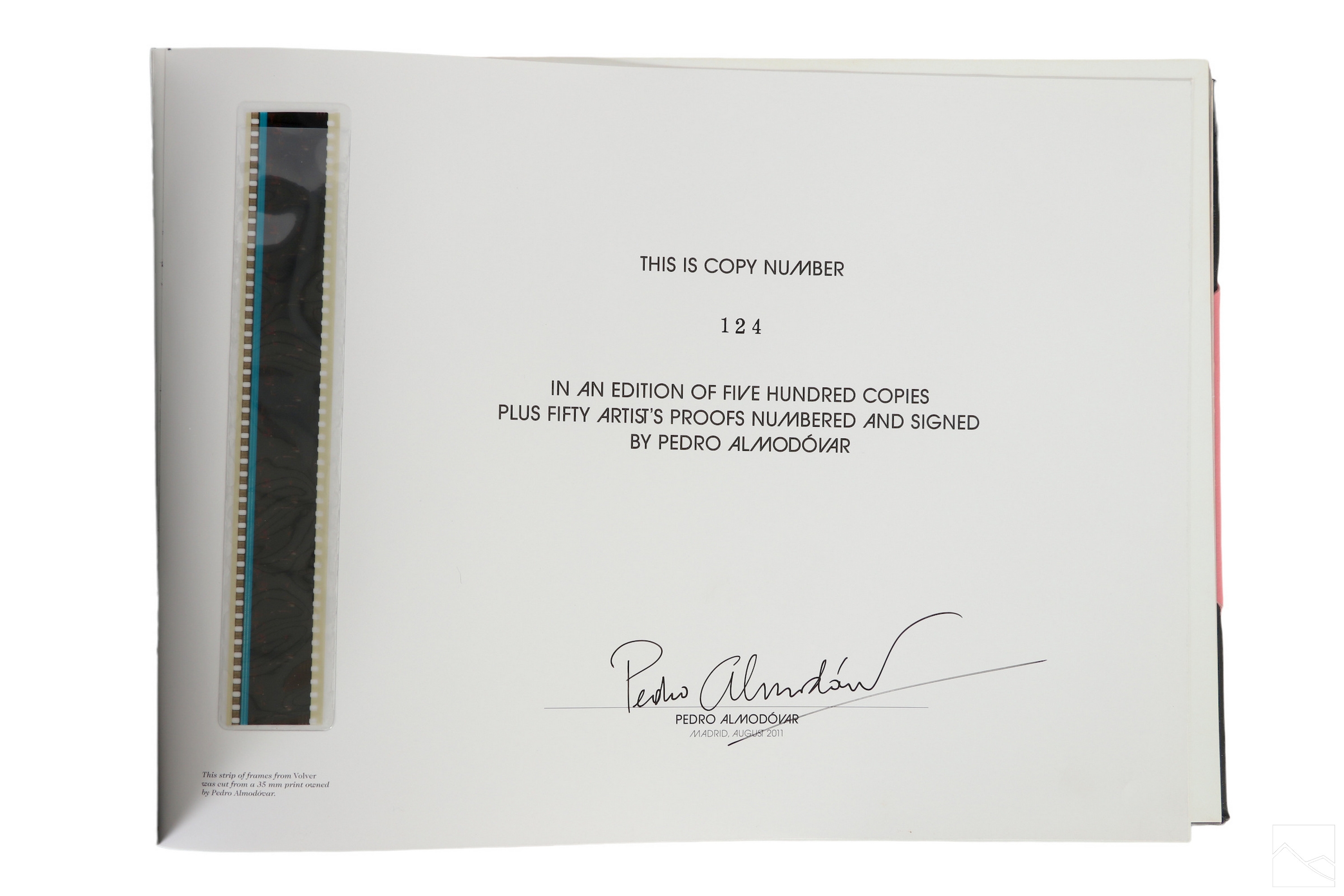 Pedro Almodovar | The Pedro Almodovar Archives | MutualArt