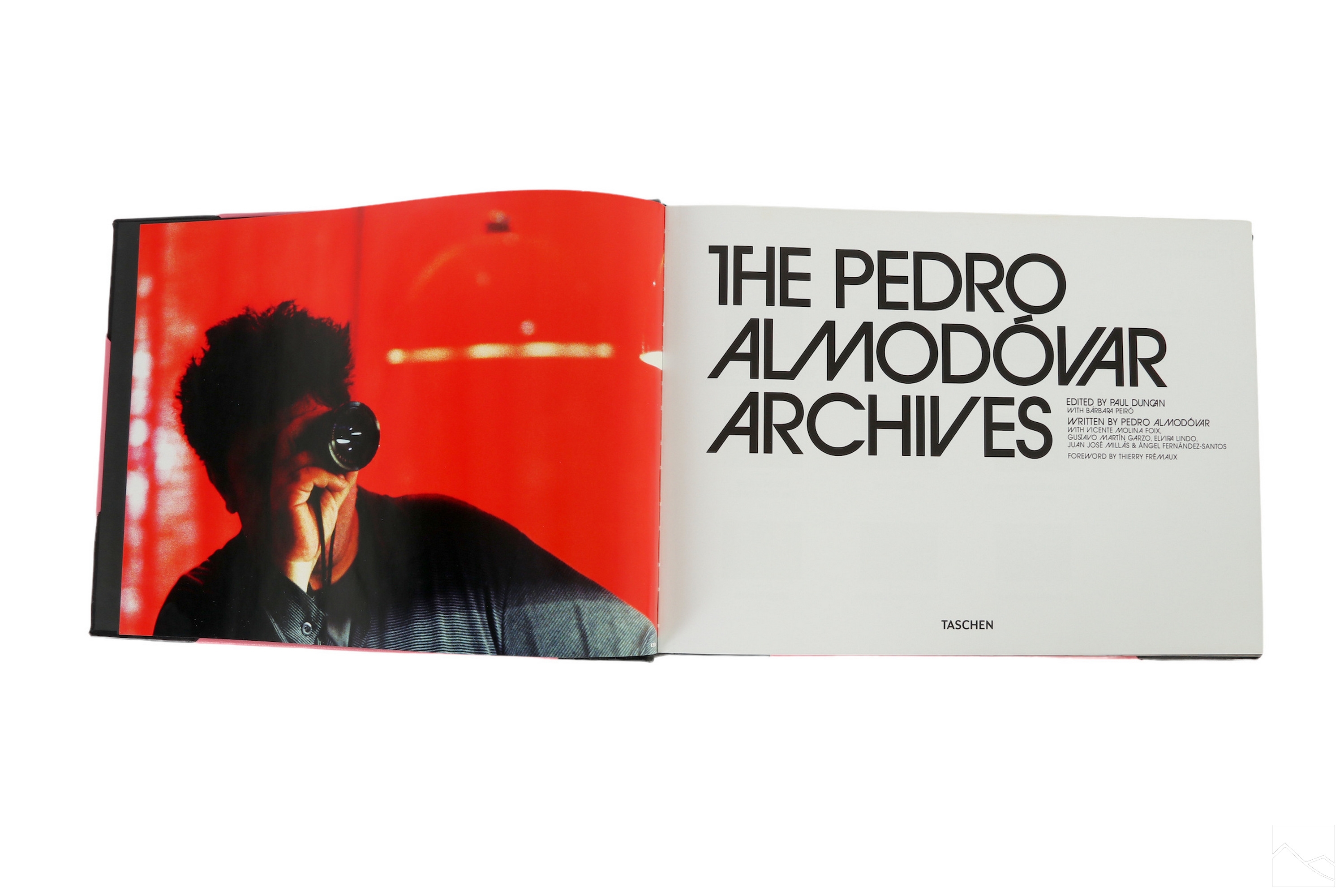 Pedro Almodovar | The Pedro Almodovar Archives | MutualArt