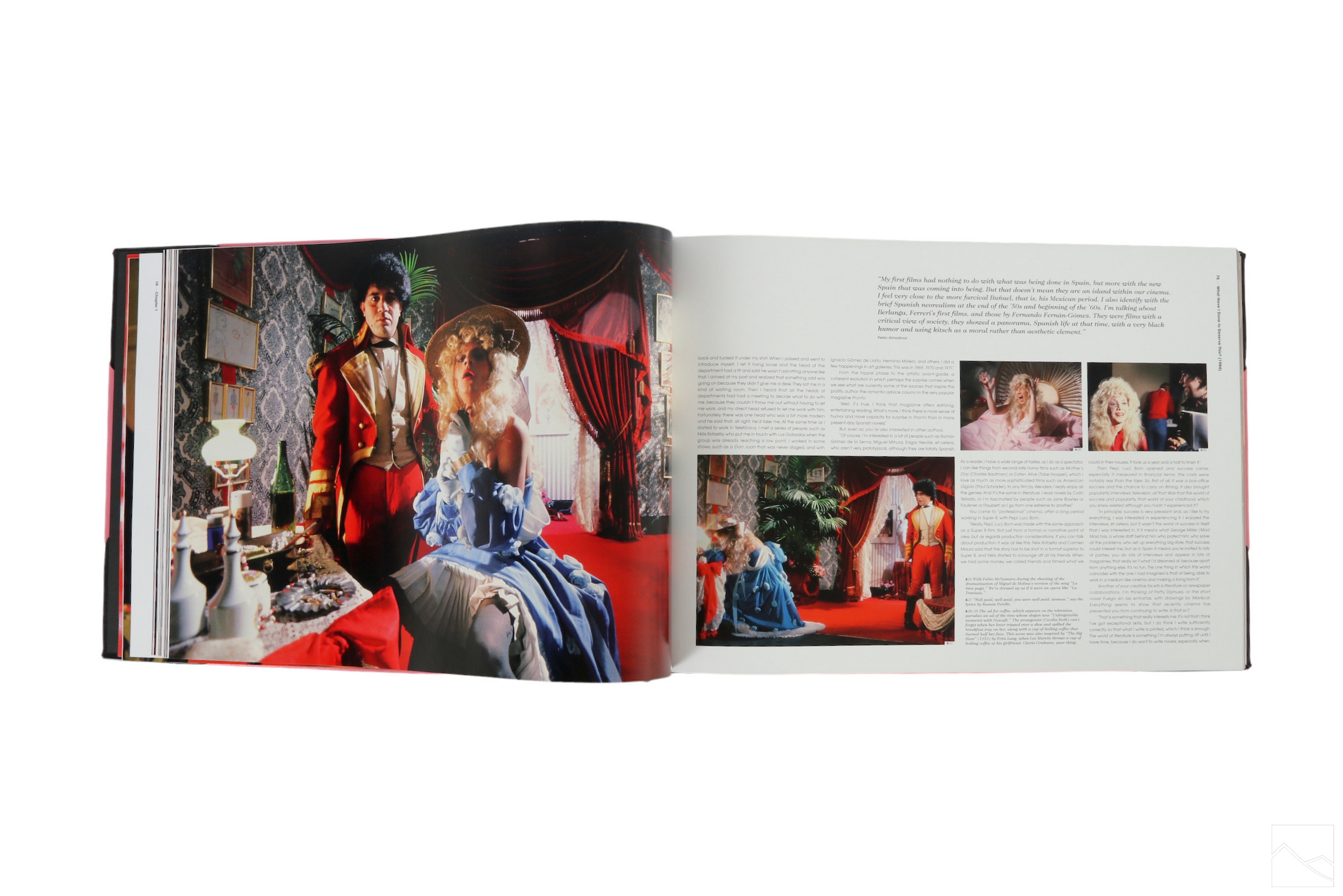 Pedro Almodovar | The Pedro Almodovar Archives | MutualArt