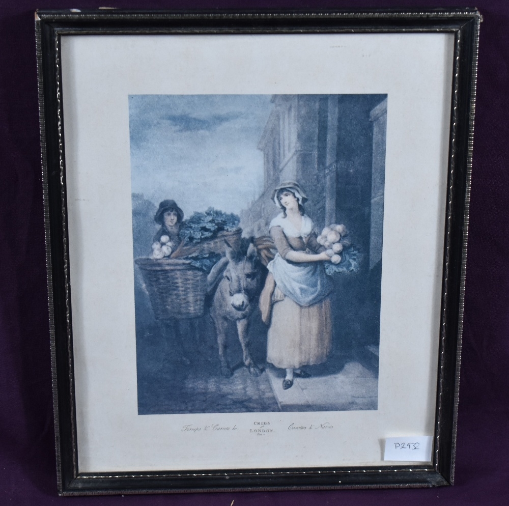 Thomas Gold Appleton | A pair of 19th century coloured engravings | MutualArt