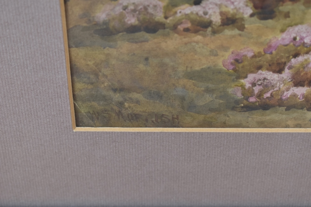 William Sidney Morrish | moorland scene | MutualArt