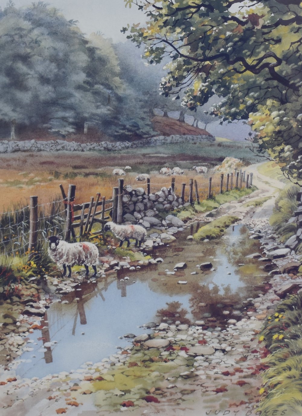 Judy Boyes | After Rain at Tiberthwaite | MutualArt