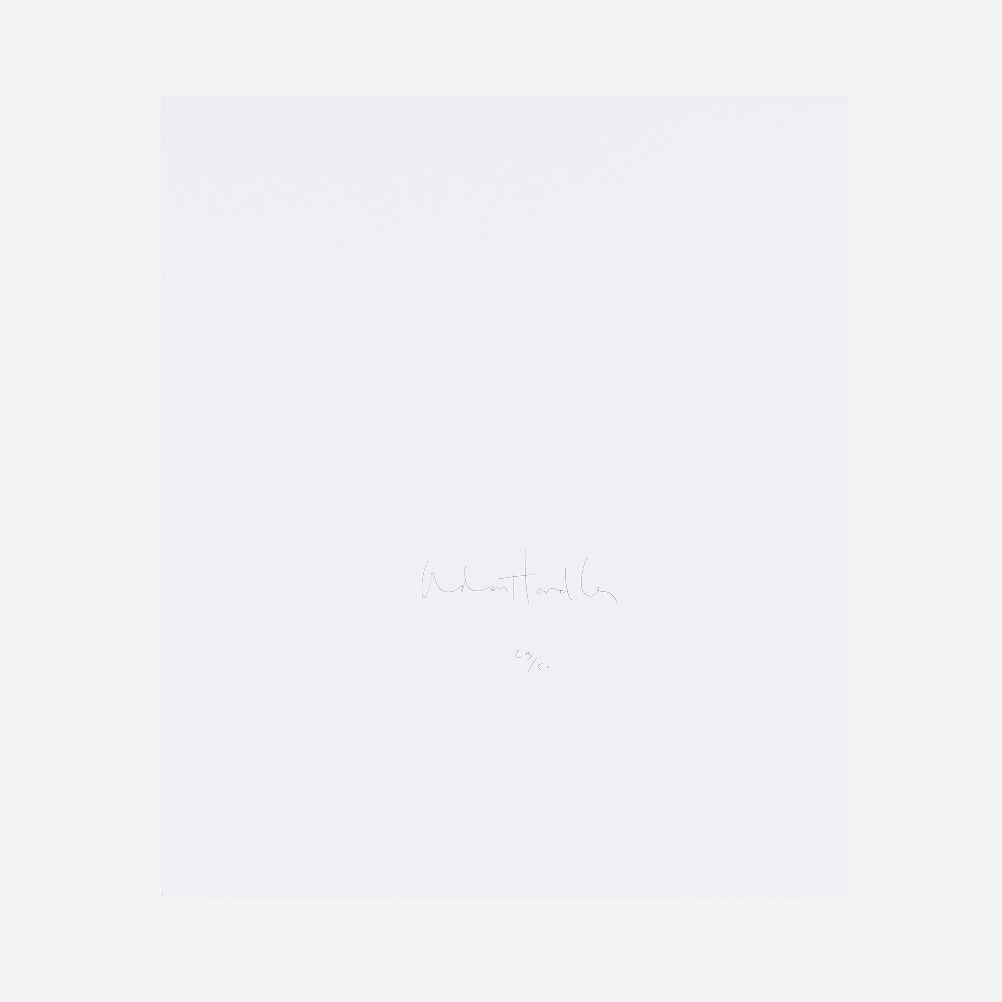 Adam Handler | Punk Ghost (2021) | MutualArt