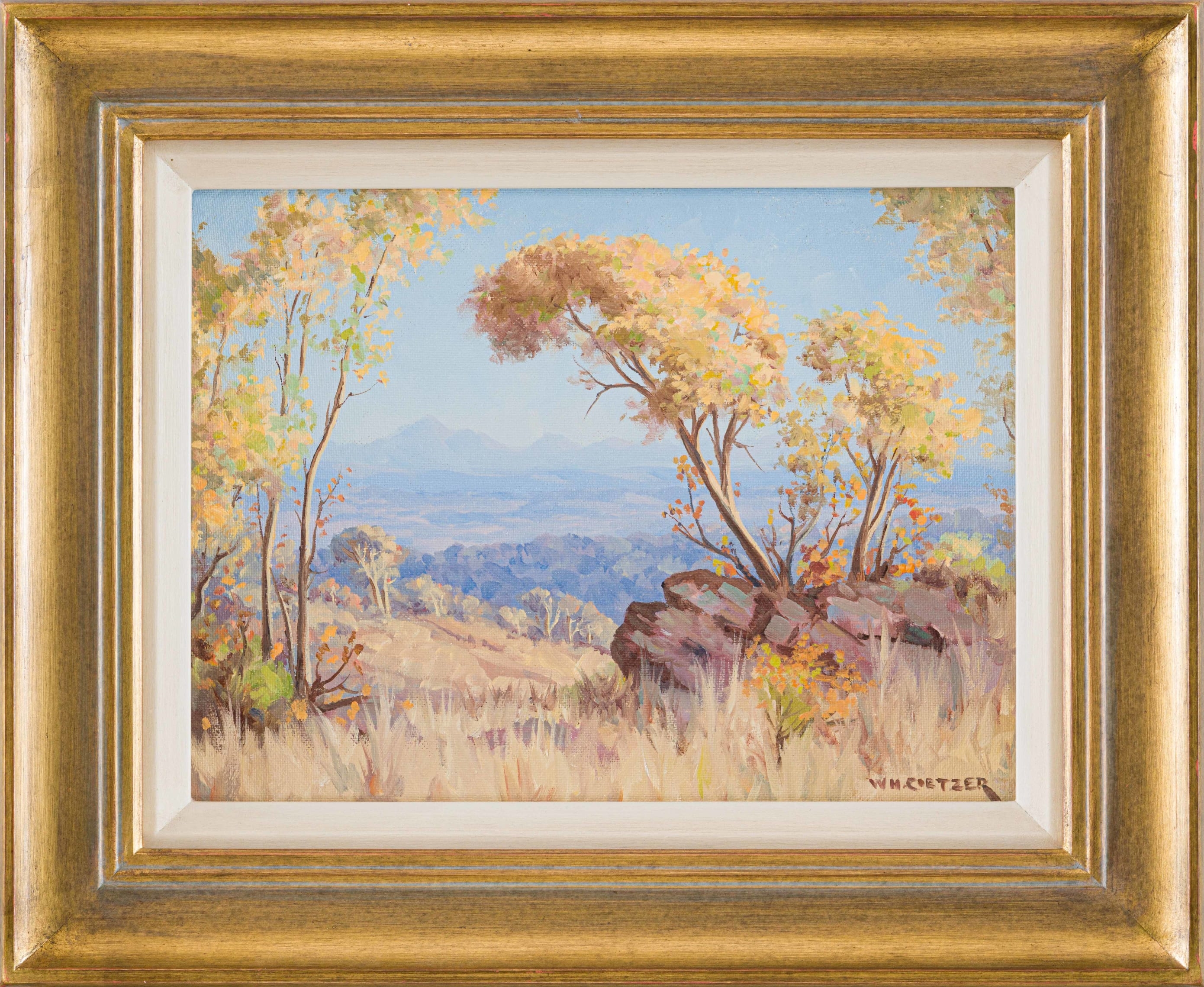 Willem Hermanus Coetzer | Bushveld Landscape, North West | MutualArt