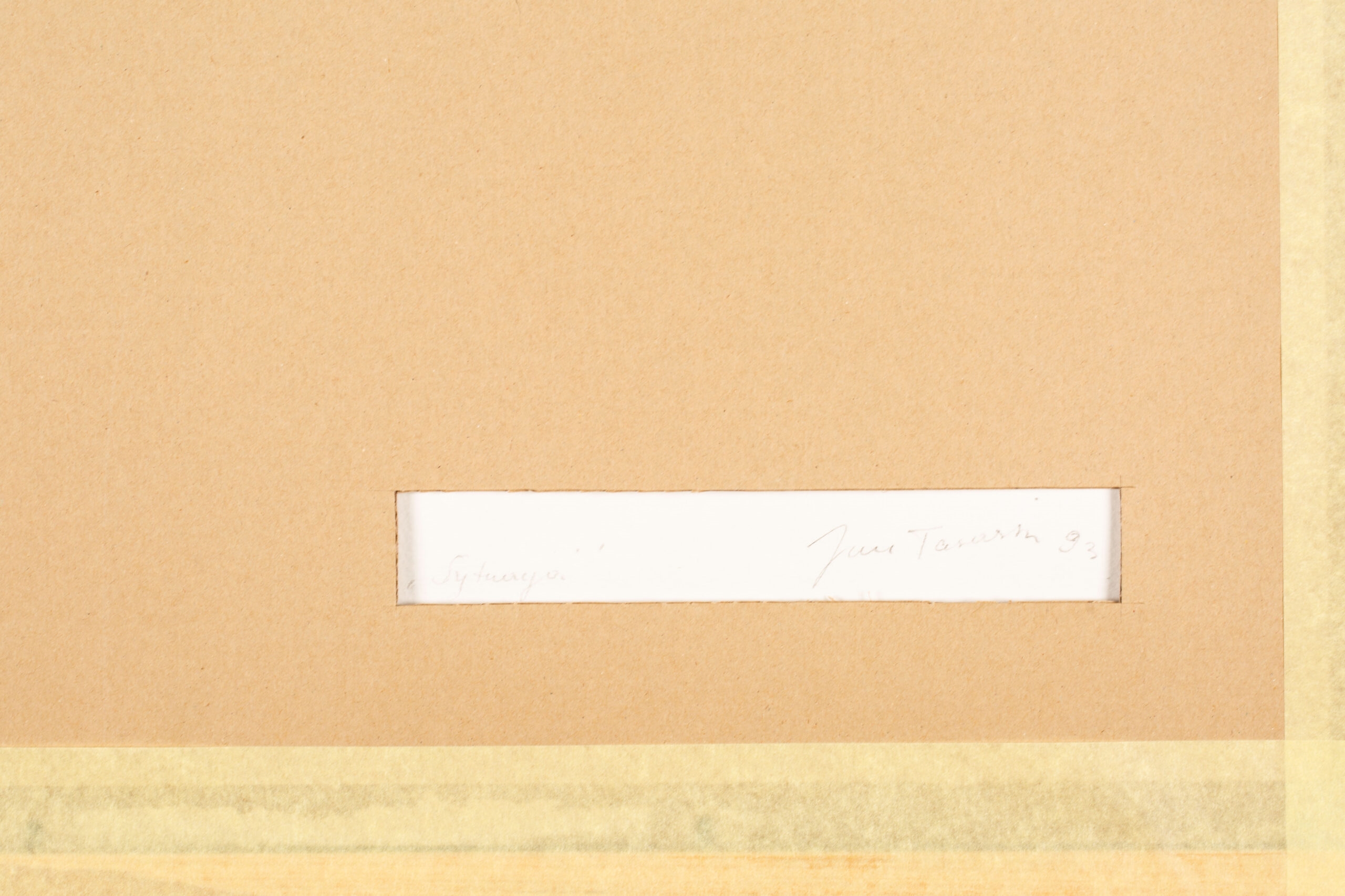 Jan Tarasin | Sytuacja (1993) | MutualArt