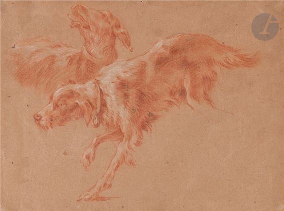 French School, 18th Century | Studies of dogs (18th Century) | MutualArt