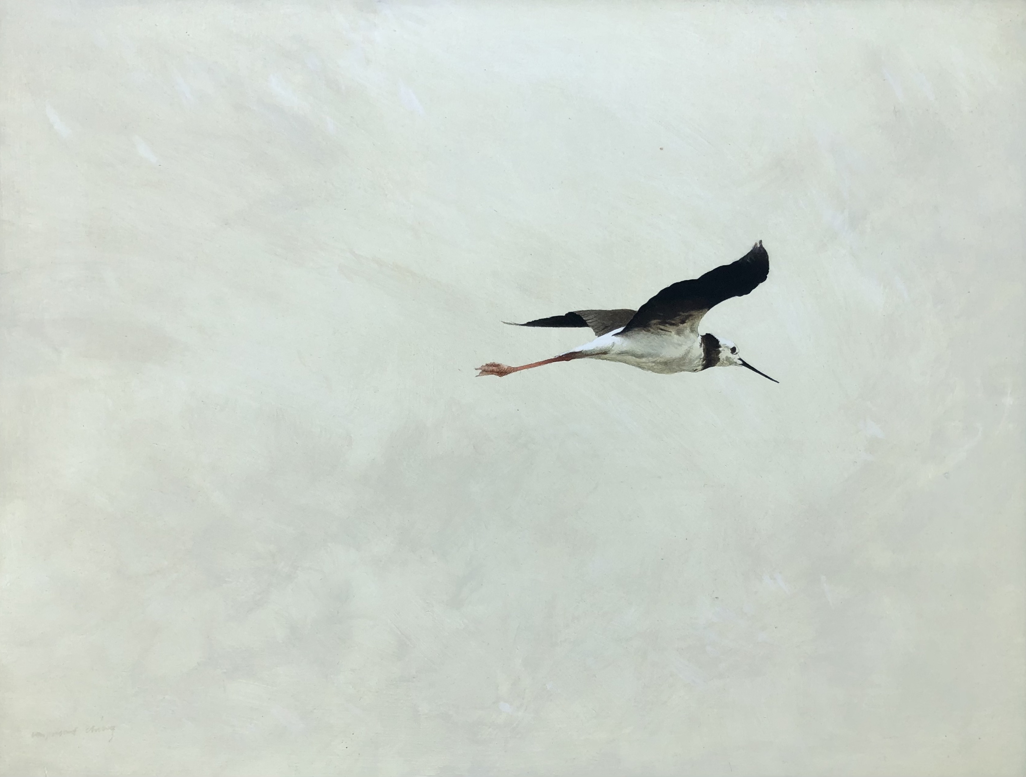 Raymond Harris Ching | Female Mandarin Duck | MutualArt