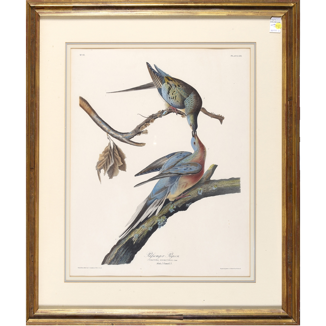 John James Audubon | Passenger Pigeons | MutualArt