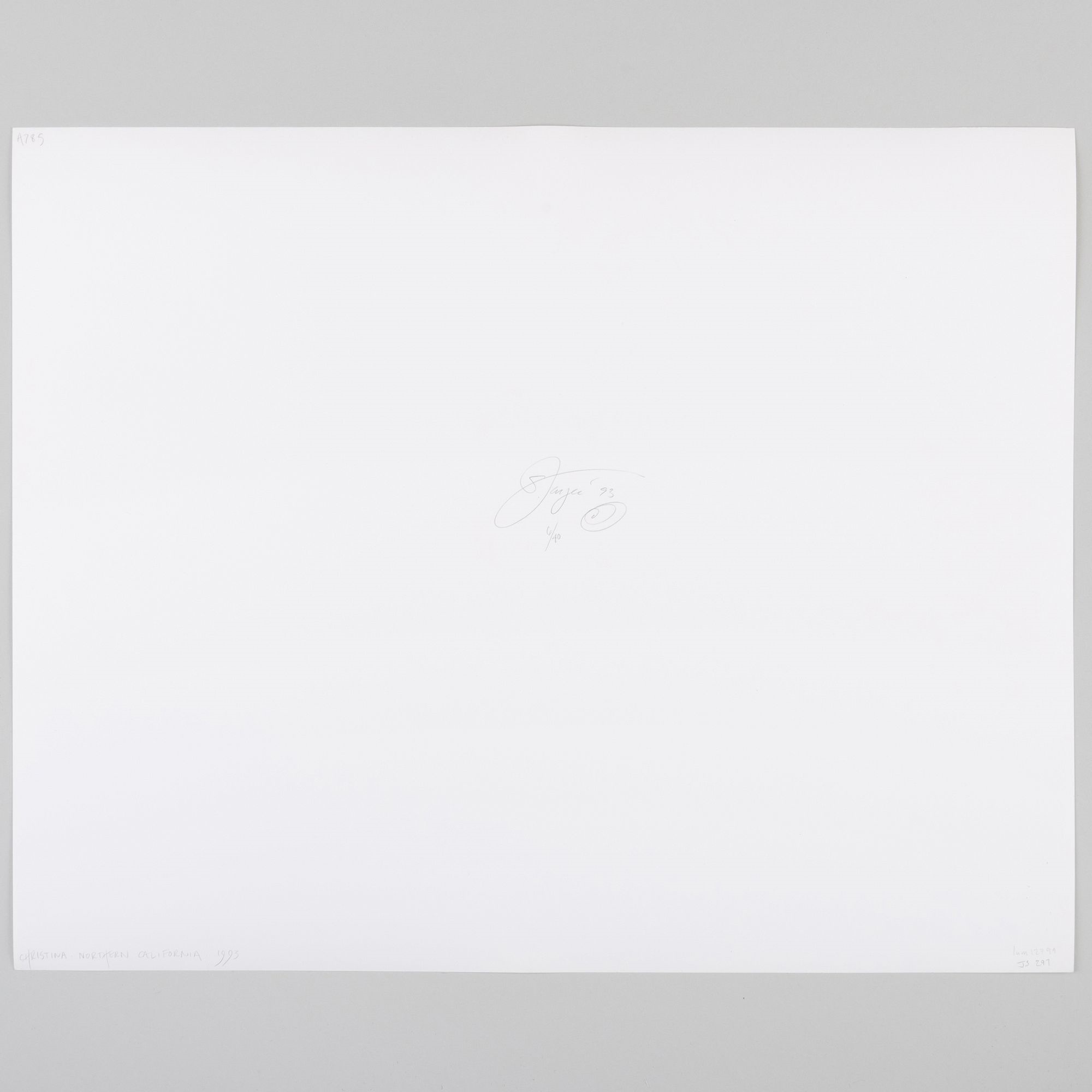 Jock Sturges | A Group of Twelve Photographs | MutualArt