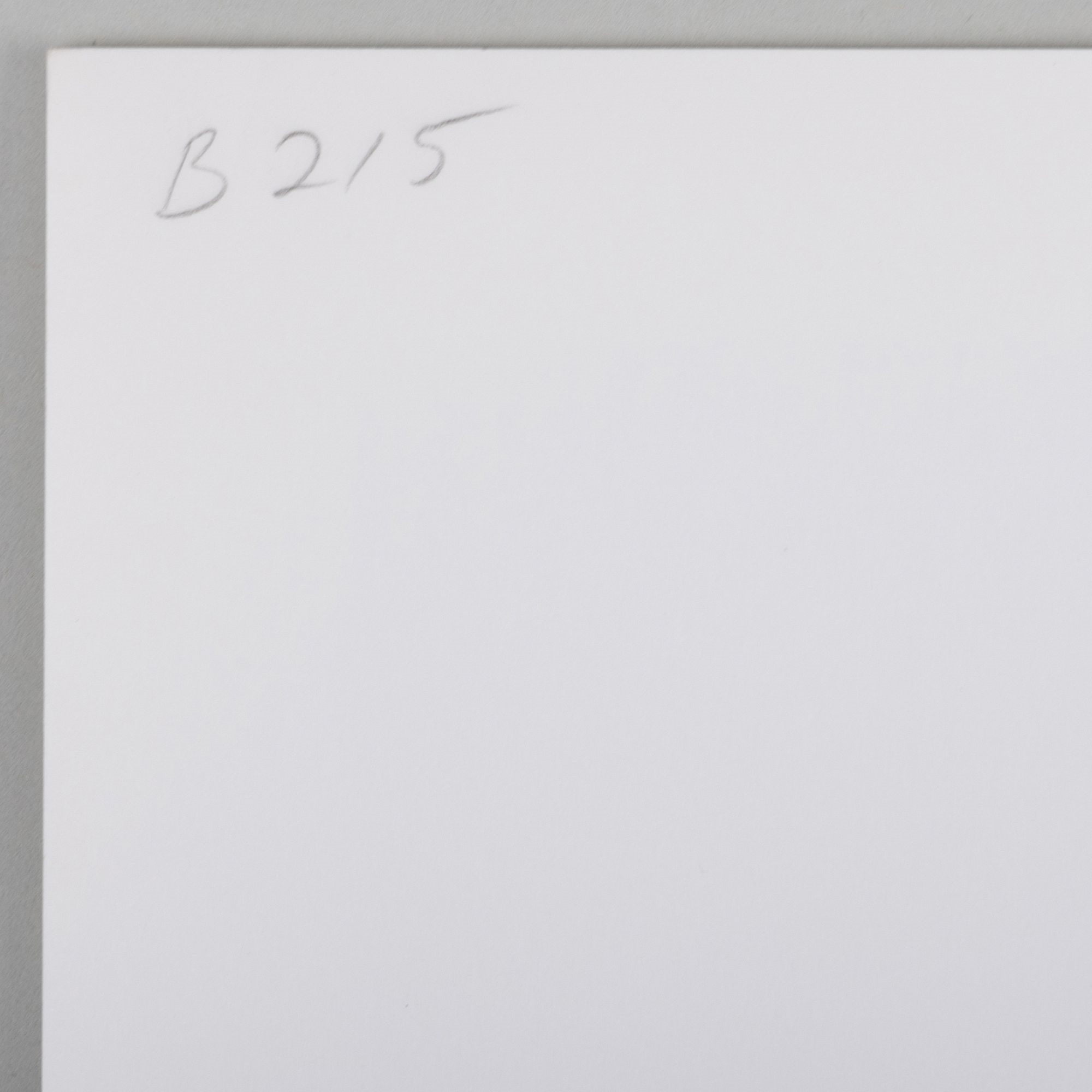 Jock Sturges | A Group of Twelve Photographs | MutualArt