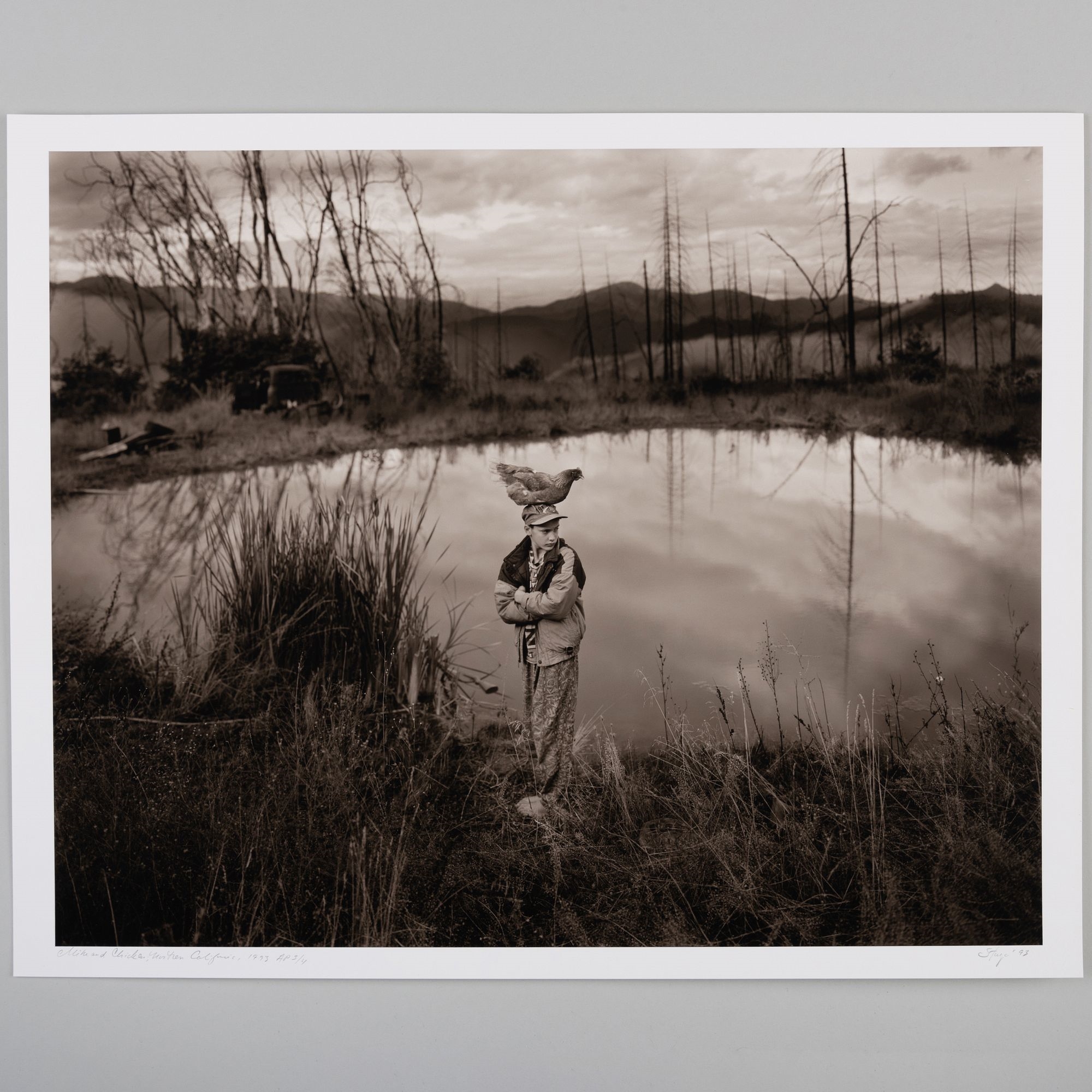 Jock Sturges | A Group of Twelve Photographs | MutualArt