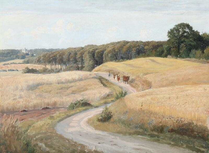 Bache Otto | A farmer's boy walking with cattle through yellow fields ...
