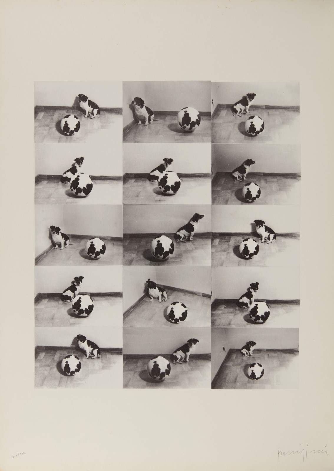 Claudio Parmiggiani | Untitled. | MutualArt
