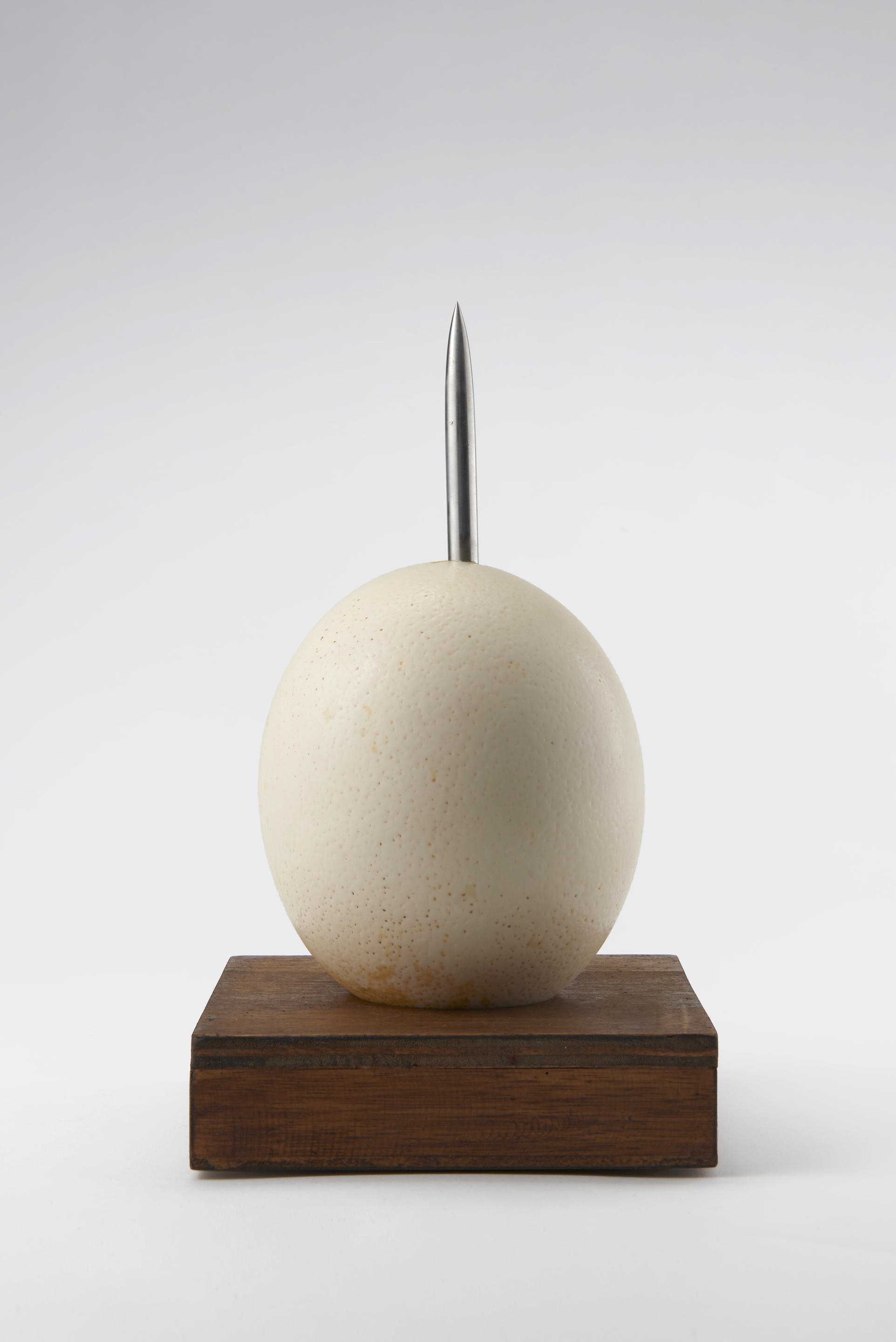 Claudio Cintoli | Sans titre | MutualArt