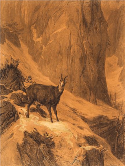 Franz Xaver von Pausinger | Herd of stags on a forest glade | MutualArt
