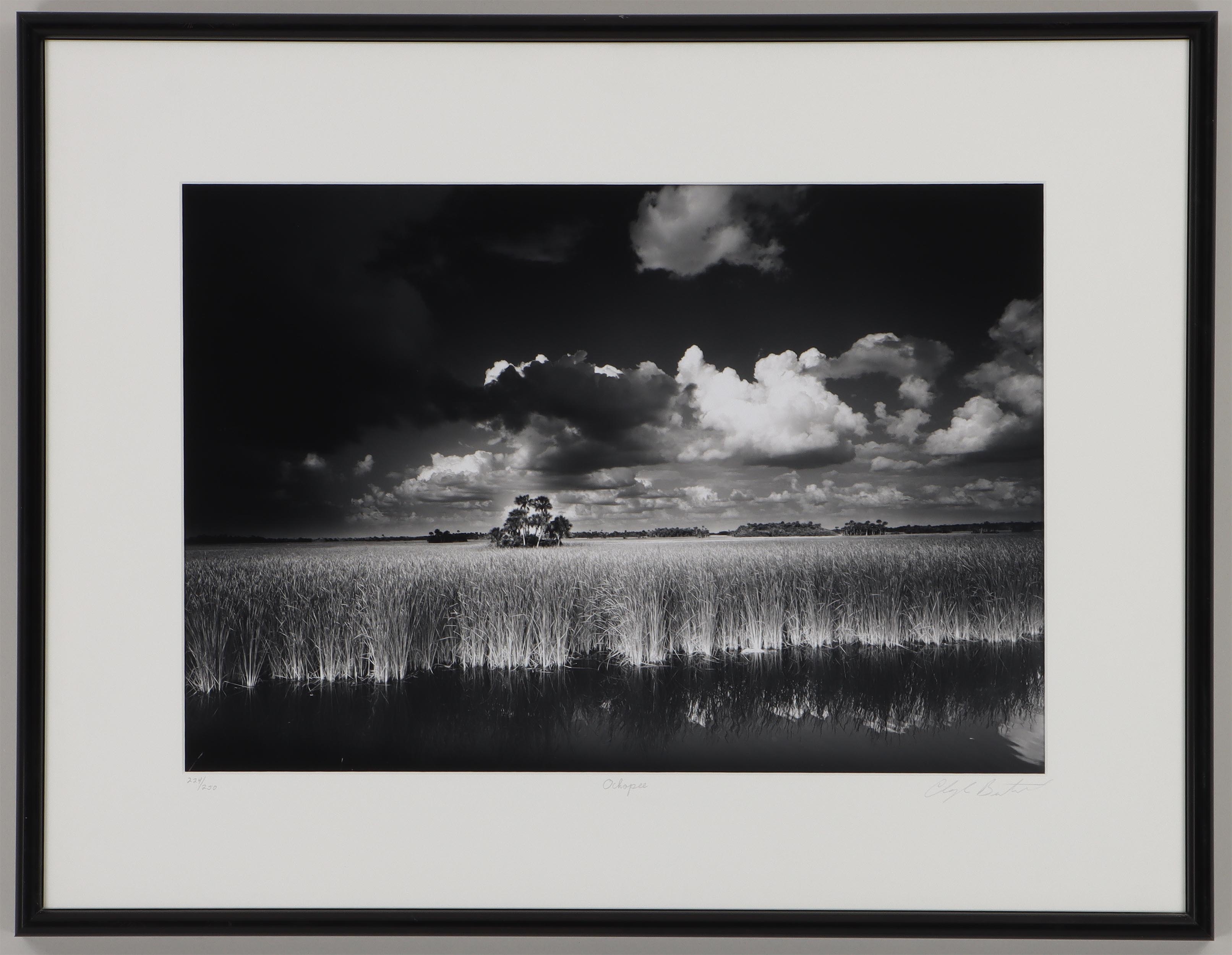 Clyde Butcher | Ochopee (Western Everglades) (1986) | MutualArt