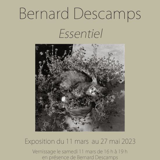 Bernard Descamps: Essentiel | Exhibitions | MutualArt