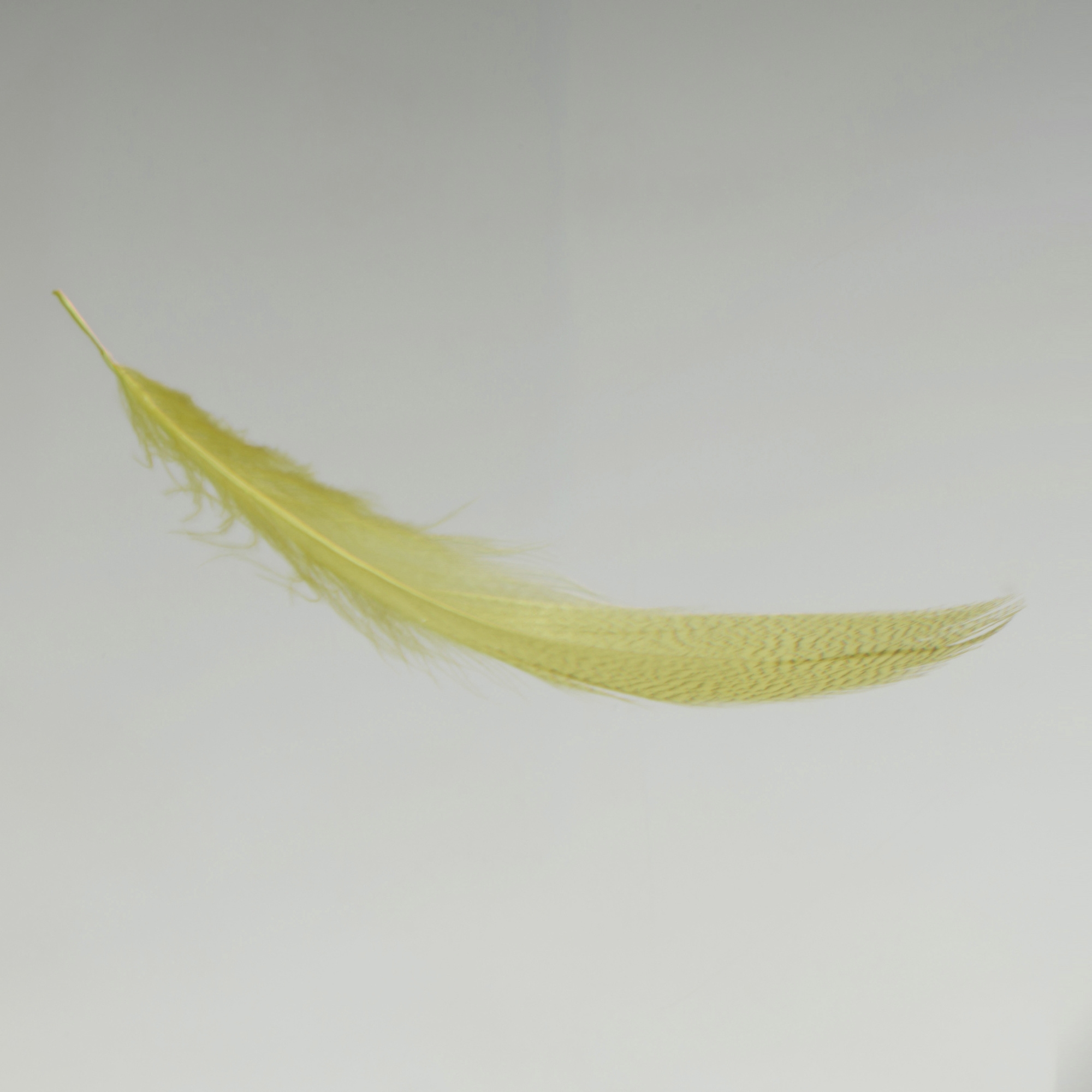Shiro Kuramata | Feather stool (1990) | MutualArt