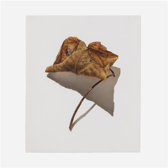 David Morrison | Rusted Leaf Series 2 (2006) | MutualArt