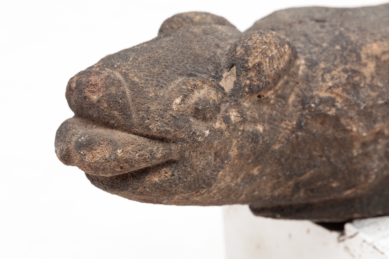 American School, 20th Century | AMERICAN CARVED STONE BEAR ON PLINTH ...