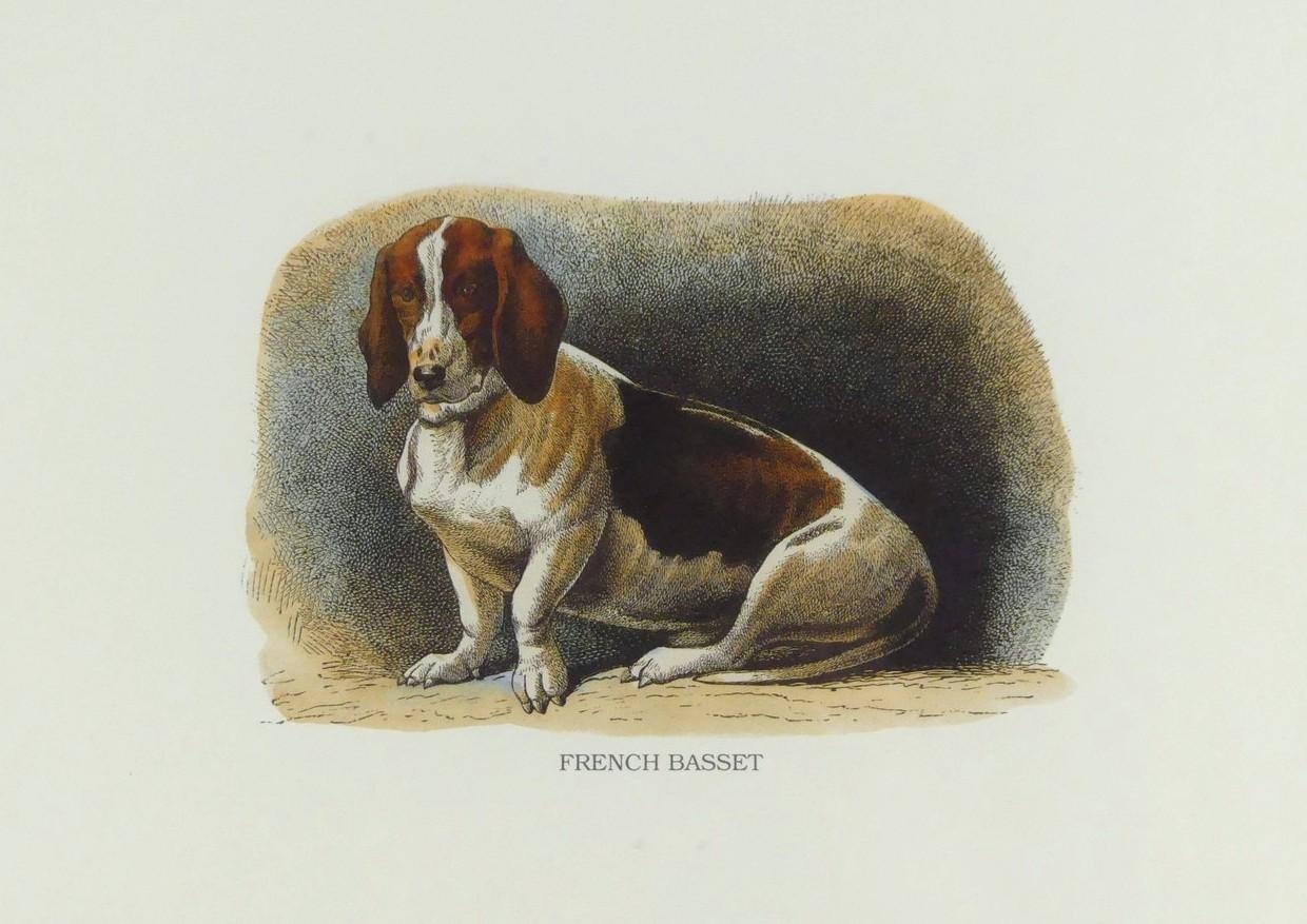 George Armfield | An Ardent Admiral | MutualArt