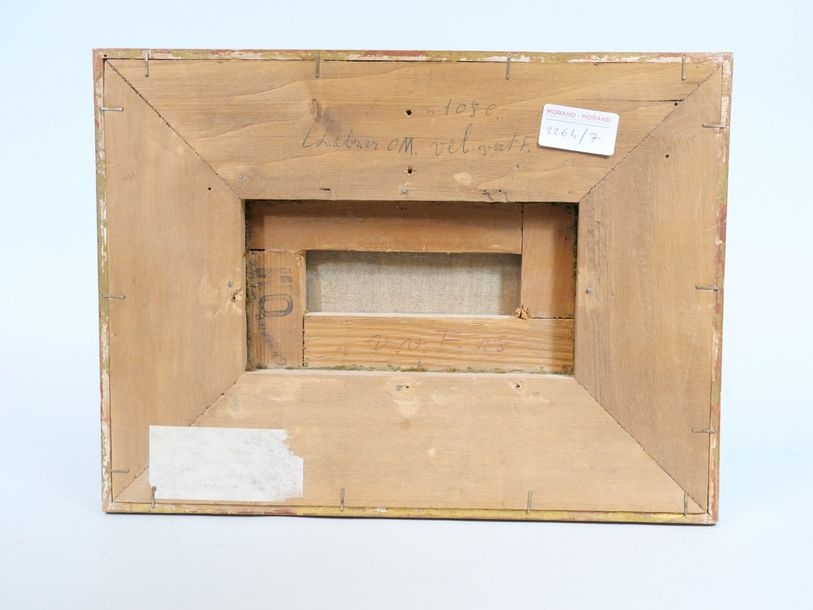 Nathalie Chabrier | The vines and La Pardiguière | MutualArt