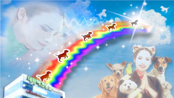 Sungsil Ryu | Artist Overview | MutualArt