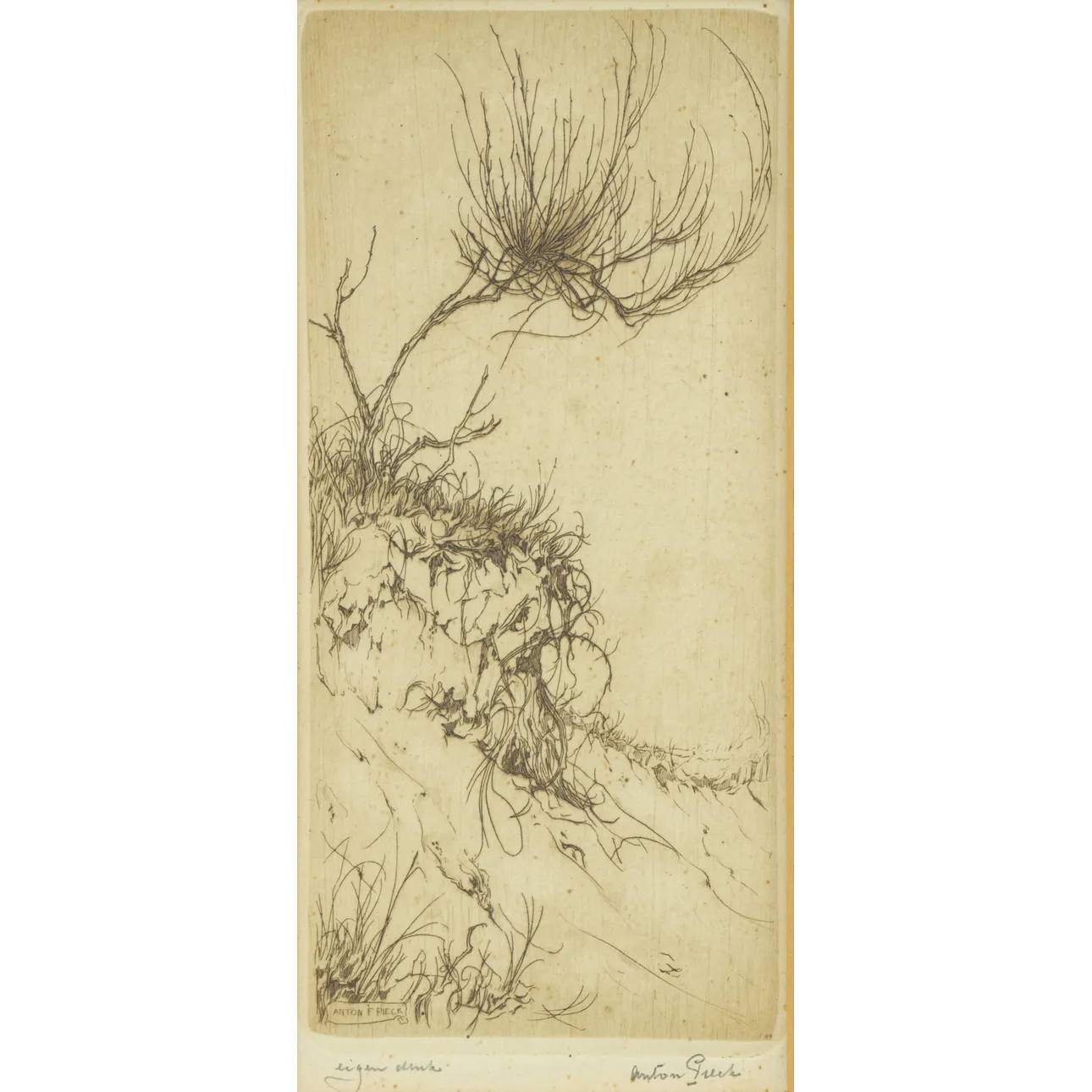 Anton Franciscus‏ Pieck | Duin en brem | MutualArt