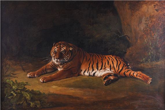 George Stubbs | Portrait of The Royal Tiger | MutualArt