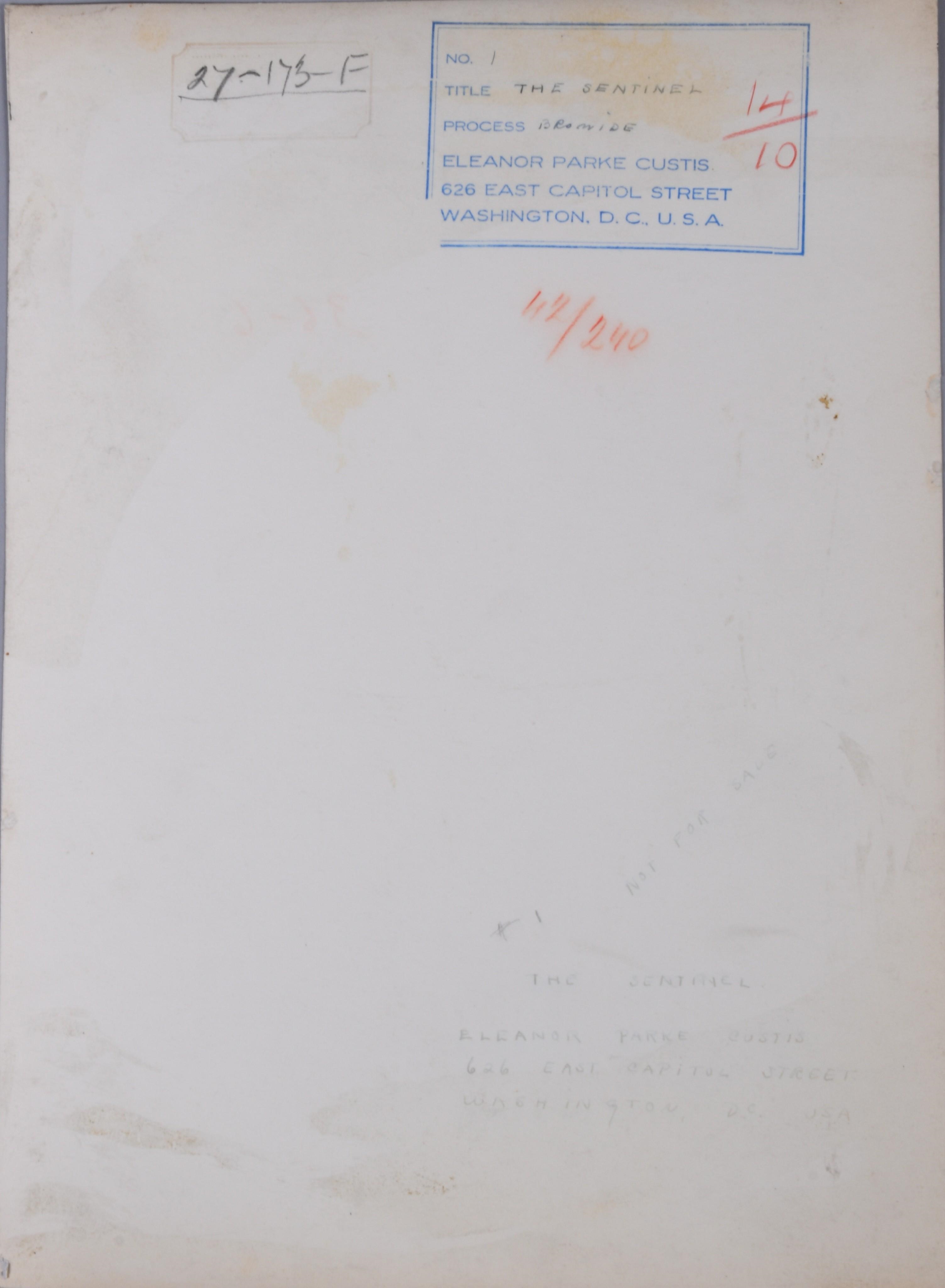 Eleanor Parke Custis | THE SENTINEL | MutualArt