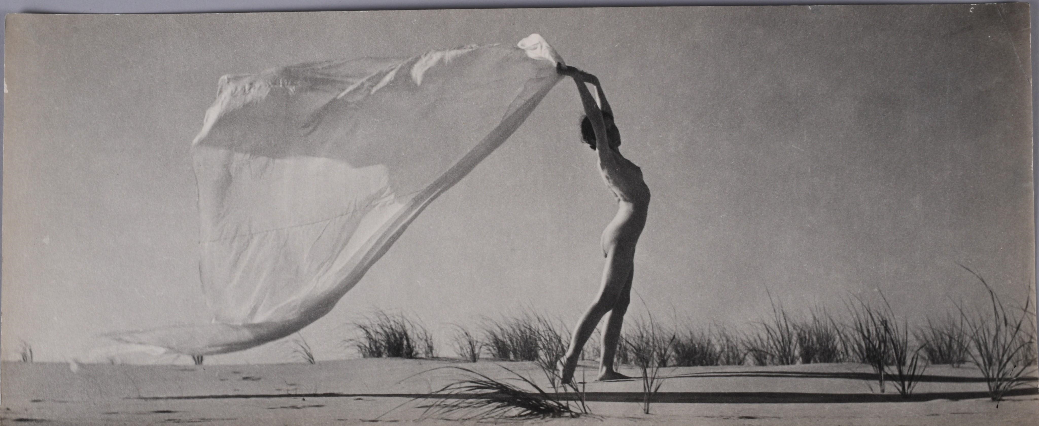 Eleanor Parke Custis | THE SENTINEL | MutualArt