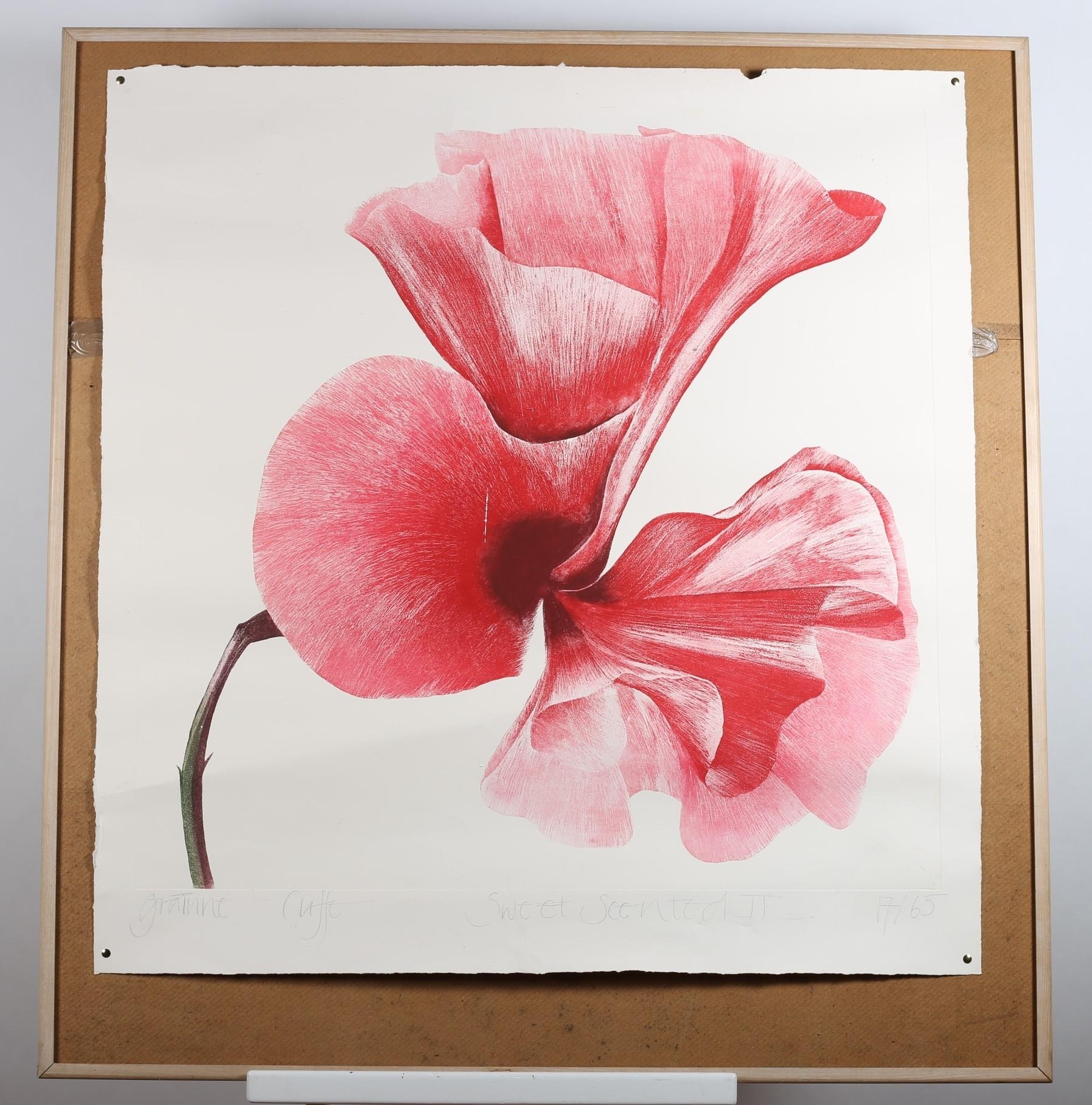 Grainne Cuffe | Sweet Scented II | MutualArt