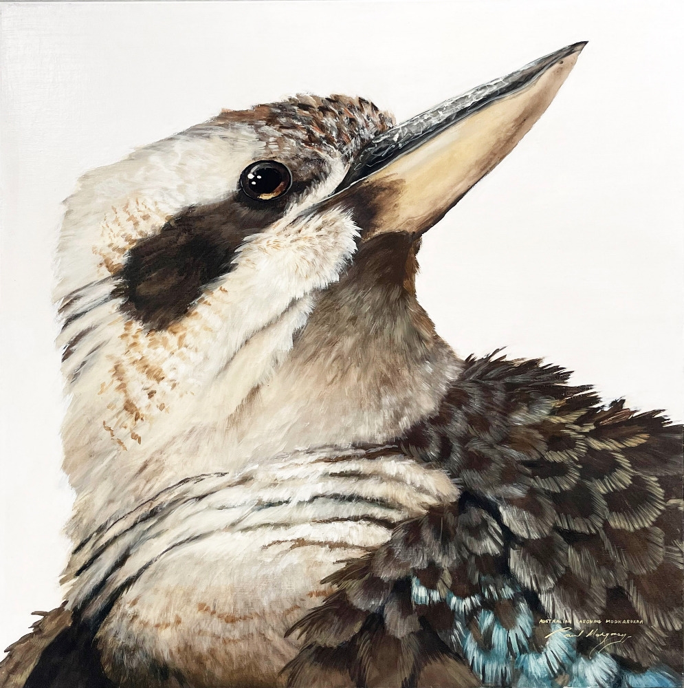 Paul Margocsy | Australian Laughing Kookaburra | MutualArt