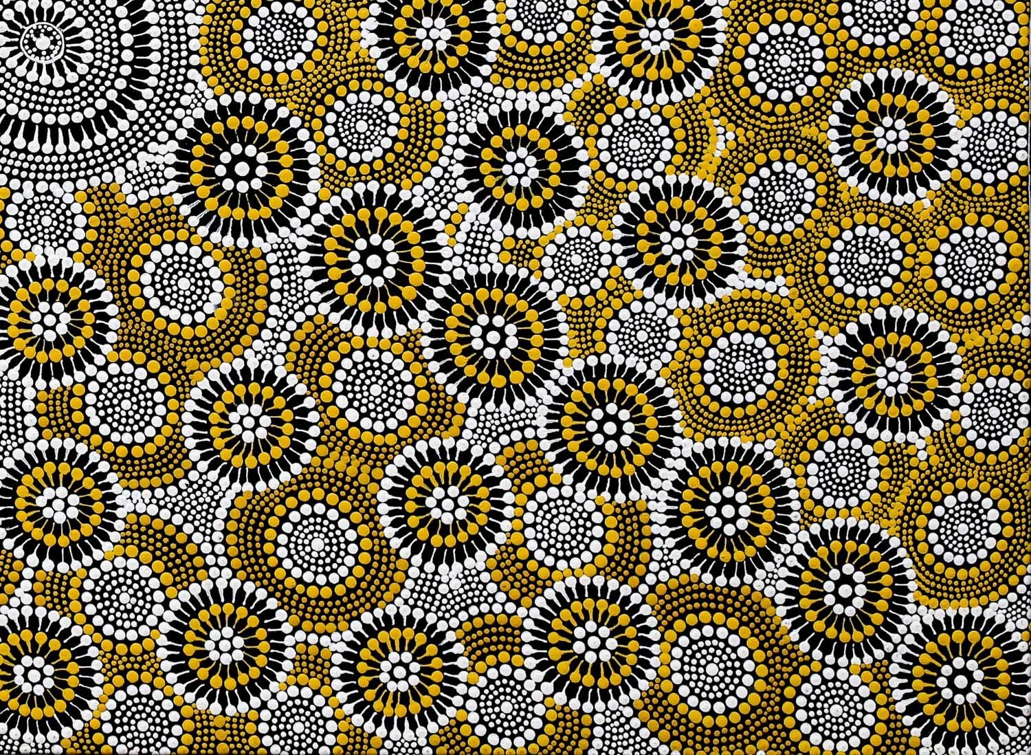 Lynette Williams Napanangka | Bush Damper Seed Dreaming (2021) | MutualArt
