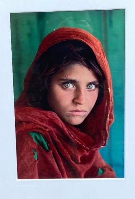 Steve McCurry | Antarctica | MutualArt